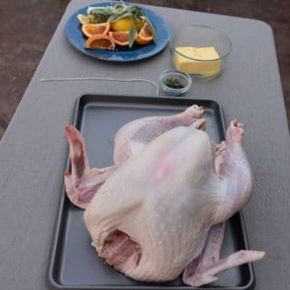 Smoked and Lacquered Turkey - Melissa Cookston
