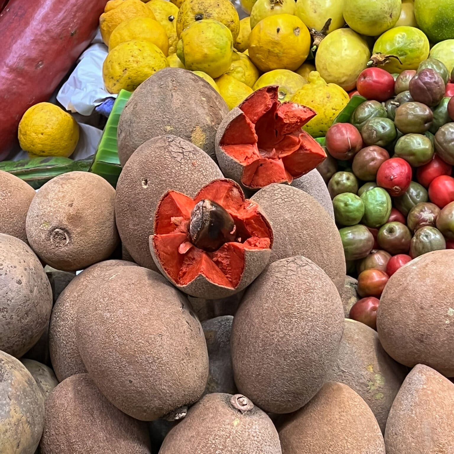 Visiting Guatemala - Melissa Cookston